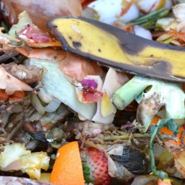 Types of Waste - Kushaagra Innovations Foundation