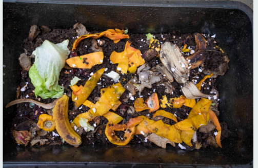Techniques for Effective Compost Decomposition - Harnessing ESR ...